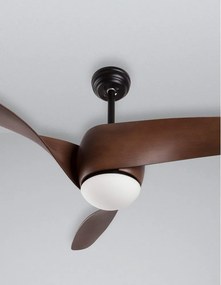 Matně černé/v tmavě přírodní barvě kovové LED stropní svítidlo se skleněným stínidlem Breeze – Nova Luce