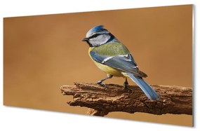 Obraz na skle Pták 140x70 cm