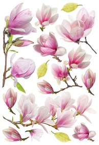 Samolepící dekorace Magnolia Flowers, 42,5 x 65 cm