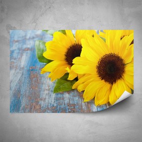 Plakát - Ležící slunečnice (60x40 cm) - PopyDesign