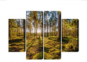 Vícedílný obraz 3D Slunečná Lesní Krajina Nedostatek Nedostatek Přírodní plátno 160x120