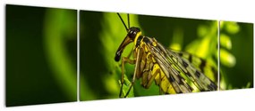 Obraz hmyzu (170x50 cm)