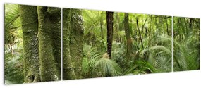 Obraz Tropický deštný prales (170x50 cm)