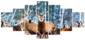 Obraz - Stádo jelenů (210x100 cm)