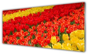 akrylový obraz Tulipány Květiny 125x50 cm