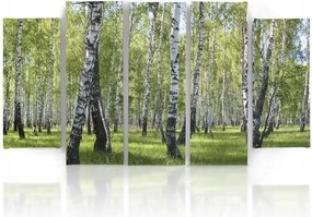 Foto 5dílný obraz na plátně Břízy 100x70