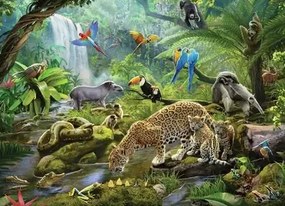 Ravensburger Obyvatelé deštného pralesa / 60 dílků / od 4 let