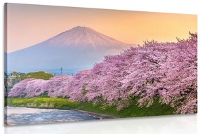 Obraz japonska sopka Fuji - 120x80 cm