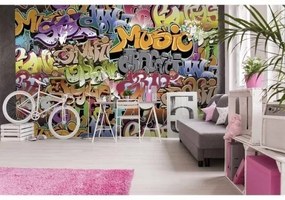 DIMEX | Samolepicí vliesová fototapeta na zeď Graffiti MA-5-0322 | 375 x 250 cm | vícebarevná