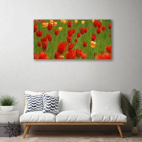 Obraz na plátně Tulipány Rostlina 120x60 cm