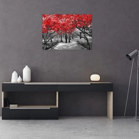 Skleněný obraz - Červené stromy, Central Park, New York (70x50 cm)