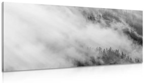 Obraz černobílý mlhavý les - 120x60 cm
