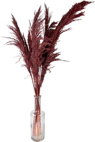 Vínová kytice sušené květy bambusu Bamboo - 100 cm (10ks)