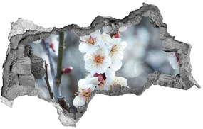 Wallmuralia Samolepící nálepka fototapeta Květy višně 95x73 cm