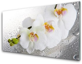 akrylový obraz Květiny Rostlina Příroda 140x70 cm