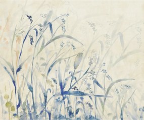 Komar Vliesová fototapeta Aquarel-Field 300 x 250 cm