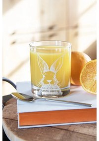 Sklenička na vodu s králíčkem Rabbit Cartoon - Ø 7*9 cm / 300 ml