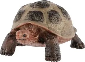ZOOTED Figurka Želva obrovská / Plast / 8 cm / od 3 let