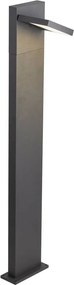 LA 1002992 ABRIDOR POLE 100 Outdoor, stojací LED svítidlo, IP55, antracitové, 3000/4000K - BIG WHITE (SLV)