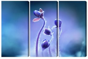 Vícedílný obraz Jemné Květiny V Makro Měřítku Nedostatek Nedostatek Přírodní plátno 120x80