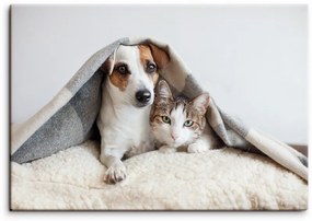 Malvis ® Obraz pes a kočka Velikost: 150x100 cm