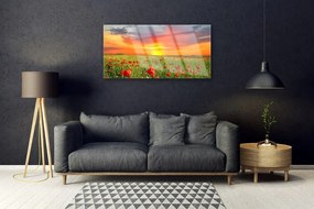 akrylový obraz Máky Slunce Rostlina Příroda 100x50 cm