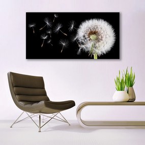 akrylový obraz Pampeliška 120x60 cm