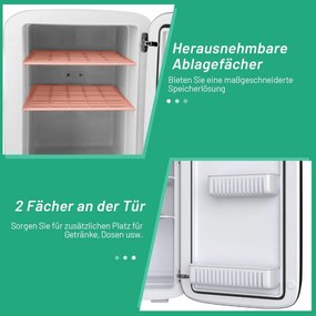 Costway 15 L mini lednice 2 v 1 Přenosná mraznička s funkcí chlazení a ohřevu