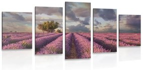 5-dílný obraz země levandulových polí - 200x100 cm