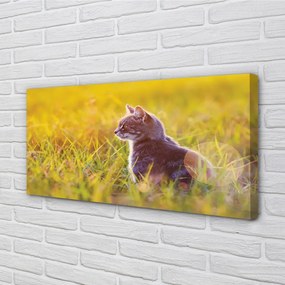 Obrazy na plátně lov cat 120x60 cm