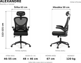 Ergonomická kancelářská židle ALEXANDRE - černá síťovina