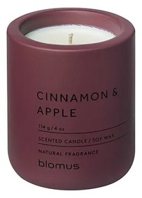 Vonná sojová svíčka doba hoření 24 h Fraga: Cinnamon &amp; Apple – Blomus