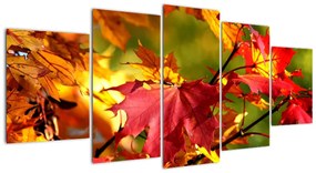 Podzimní listí, obraz