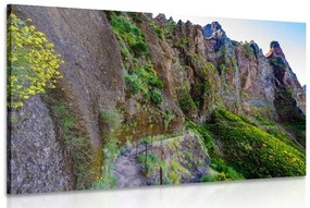 Obraz úzká turistická cestička - 120x80 cm