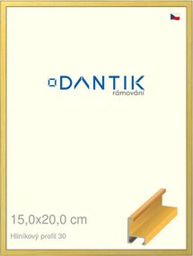 DANTIK rámeček 15x20 | ALU profil 6030 Dýha barevná žlutá (Sklo Čiré)
