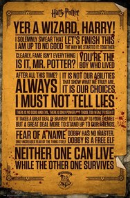 Plakát, Obraz - Harry Potter - Quotes