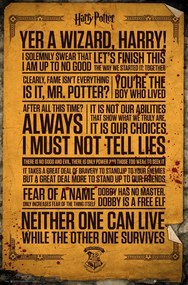 Plakát, Obraz - Harry Potter - Quotes, (61 x 91.5 cm)