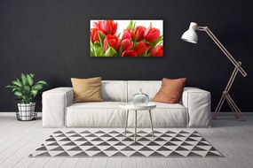 Obraz na plátně Tulipány Květiny Rostlina 120x60 cm