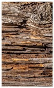DIMEX | Vliesová fototapeta na zeď Kůra stromu MS-2-0159  | 150 x 250 cm | hnědá