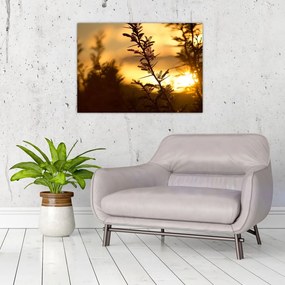 Skleněný obraz - Slunce zapadající za stromy (70x50 cm)