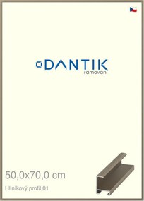 DANTIK rámeček 50x70 | ALU profil 6001 champagne (Plexi Čiré)