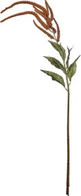 FLORISTA Proso 110 cm - hnědá