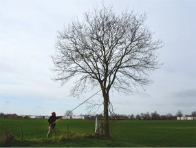 Silky Hayate 5000-6,5 - teleskopická pila
