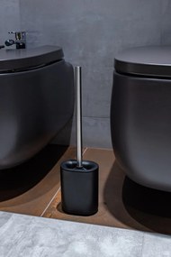 HOPA WC štětka (na wc rimless), kov, plast  - KD02021769