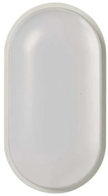 Emos lighting LED přisazené svítidlo QARI, oválné bílé 20W neutrální bílá, IP65 1539722010