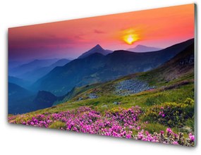 akrylový obraz Hory Louka Květiny Krajina 120x60 cm