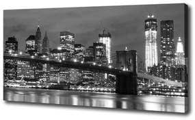 Wallmuralia Foto obraz na plátně Manhattan New York 100x50