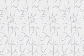Samolepicí fólie Bambus bílý, transparentní, 67,5 cm x 2 m 3468349 / samolepicí tapeta vitrážní Bamboo weiss 346-8349 d-c-fix