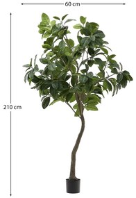 Umělý fíkus (výška 210 cm) Ficus – Kave Home