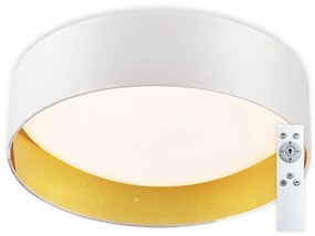 Top Light | Top Light - LED Stmívatelné stropní svítidlo LED/24W/230V +dálkové ovládání bílá | TP1657